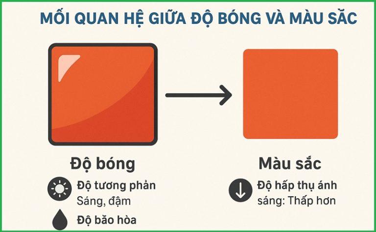 Độ Bóng Và Màu Sắc Trong In Ấn - RT CO.,LTD